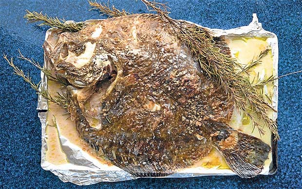 What do turbots eat?