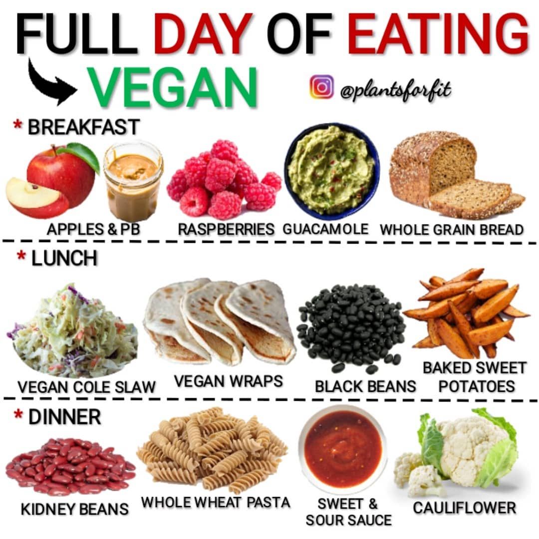 What do vegans eat in a day?