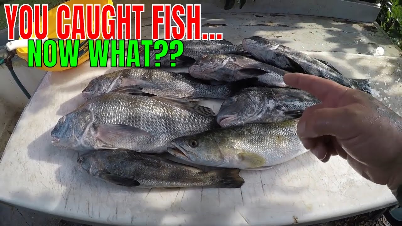 What do you do after catching a fish?