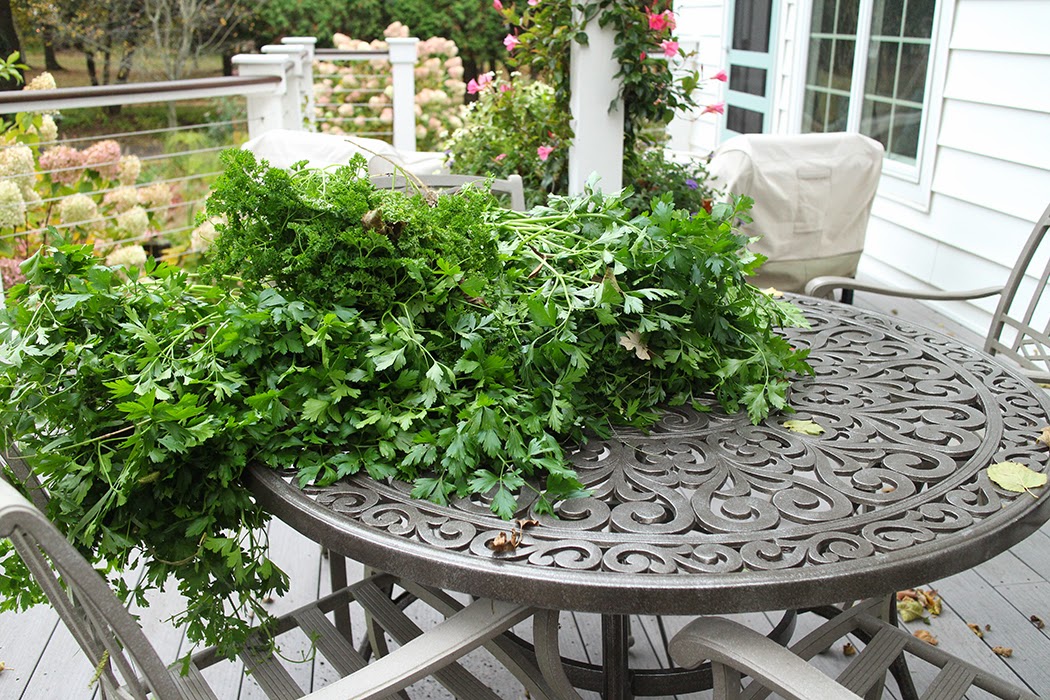 What do you do with an abundance of parsley?