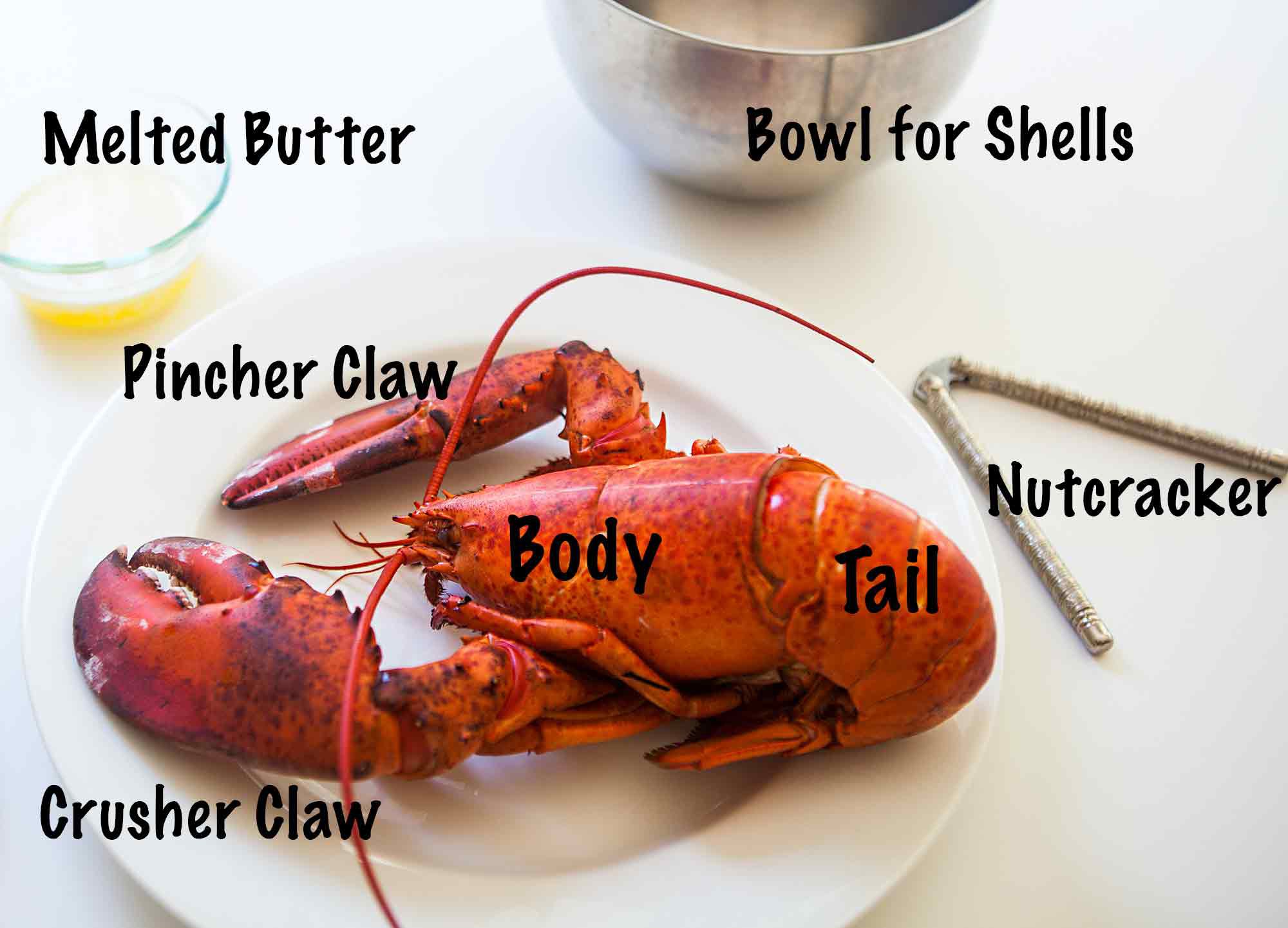 What do you do with fresh lobster?