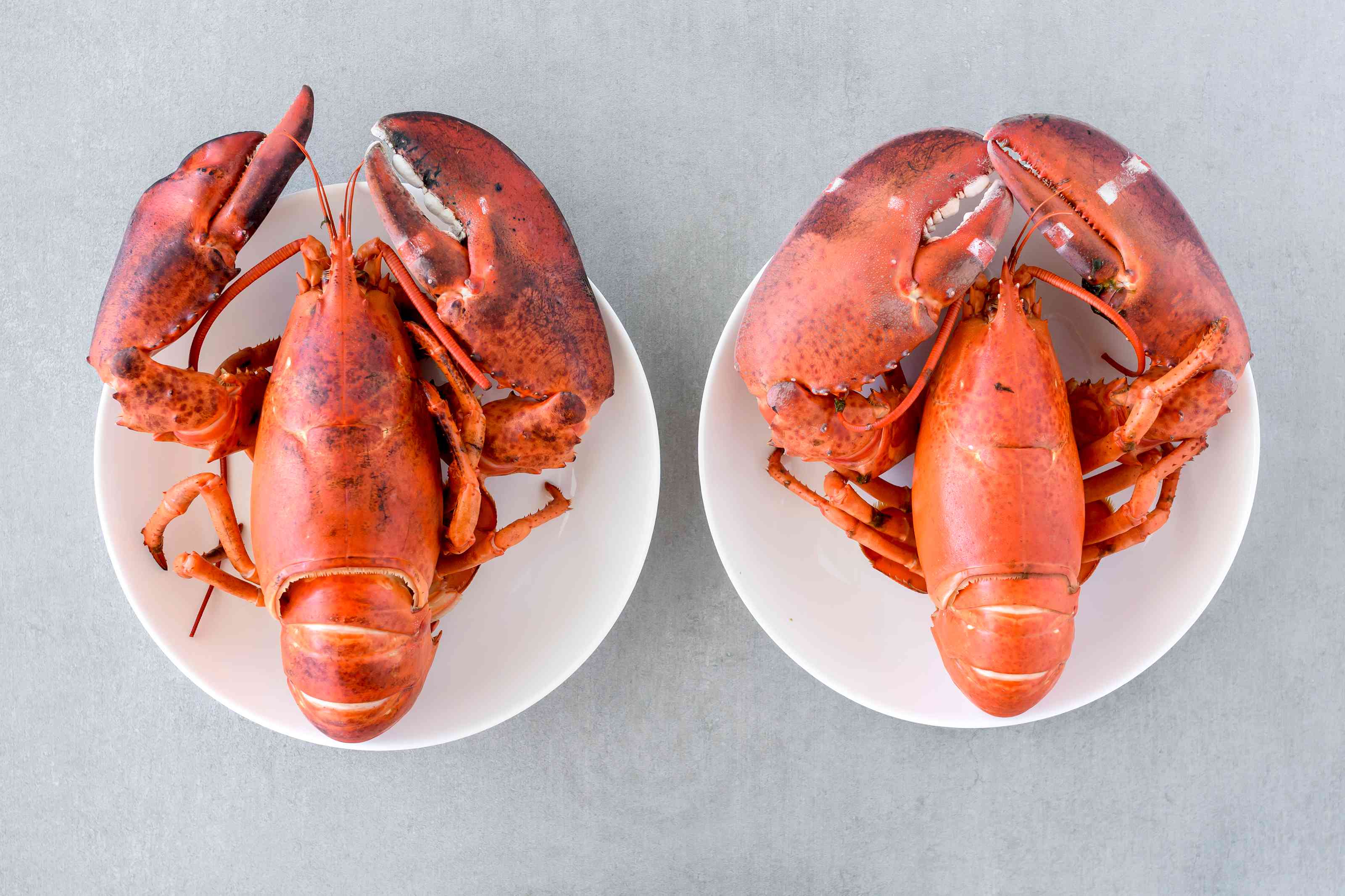 What do you do with lobster before cooking?