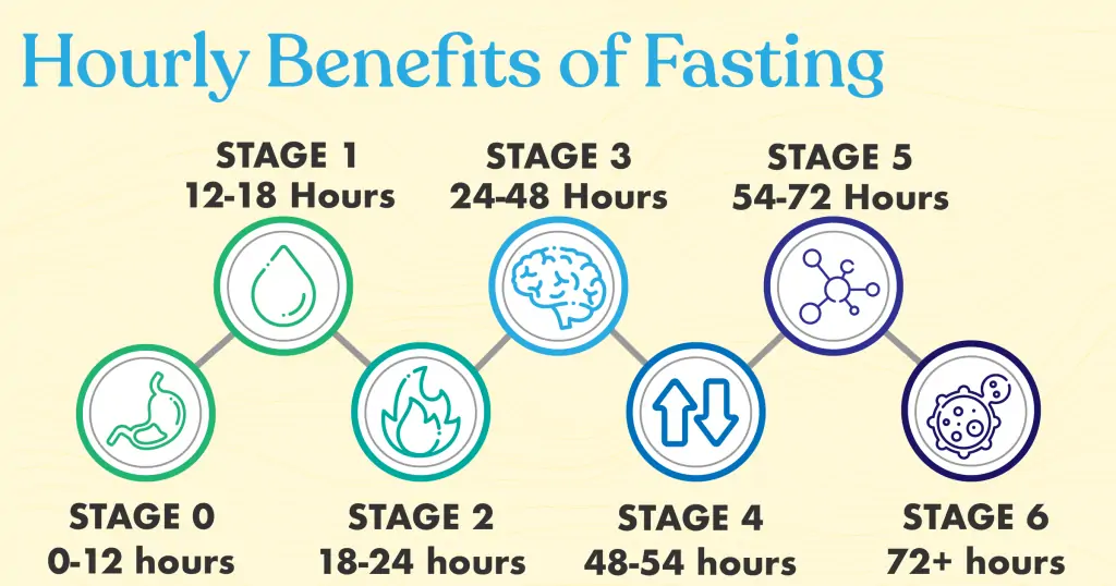 What does a 72 hour fast do to your body?