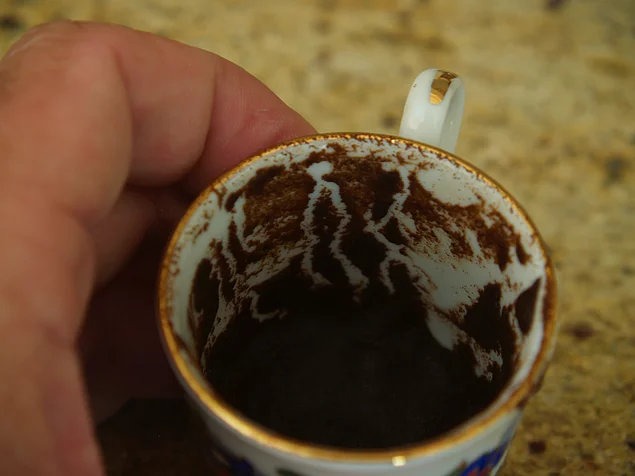 What does a fish mean in Turkish coffee?