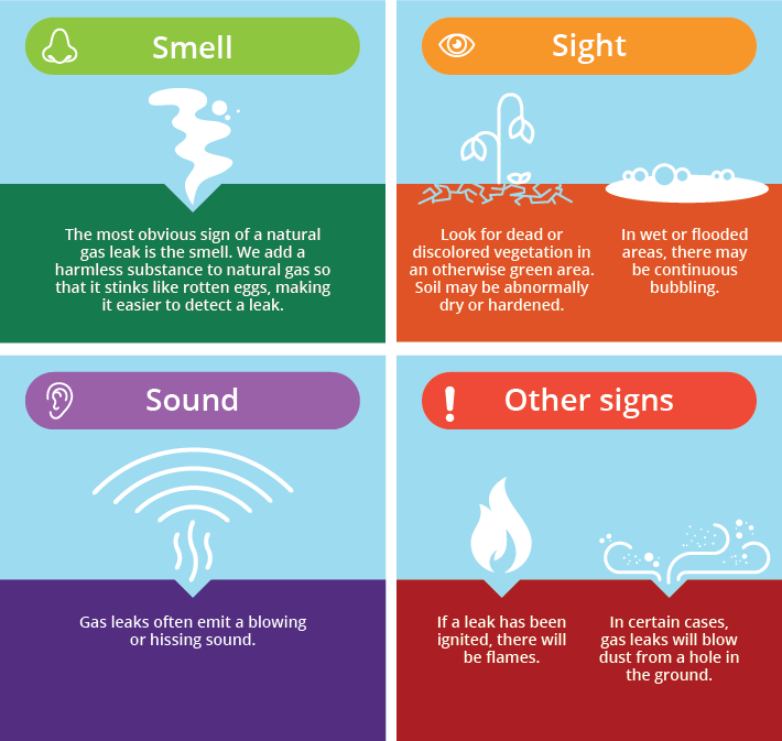 What does a gas leak inside smell like?