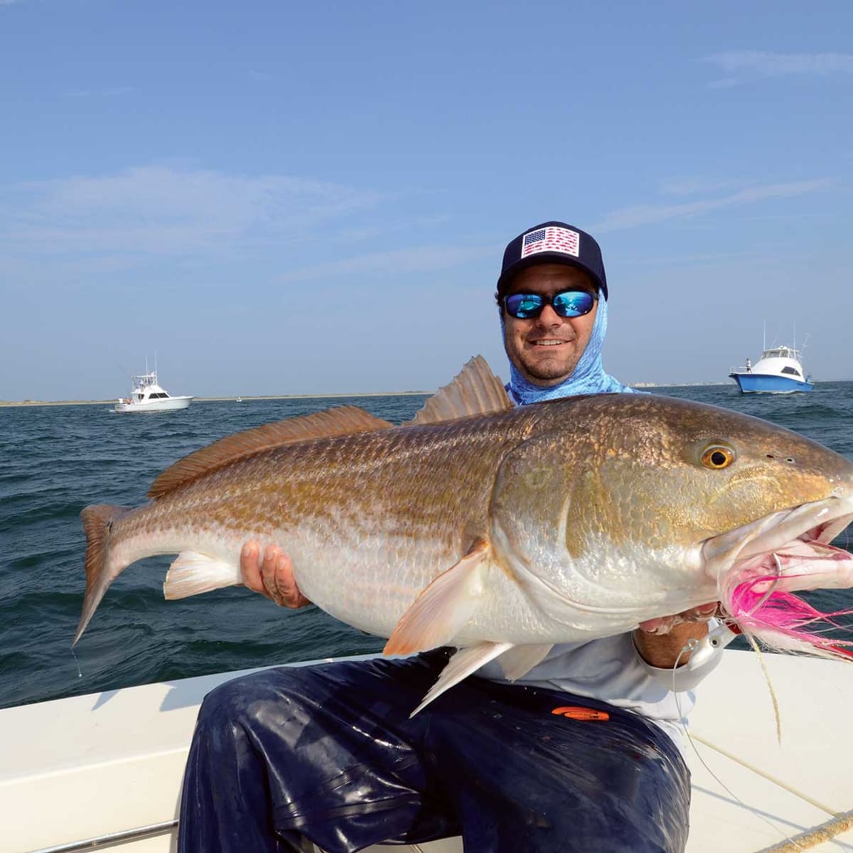 What does a red drum fish look like?