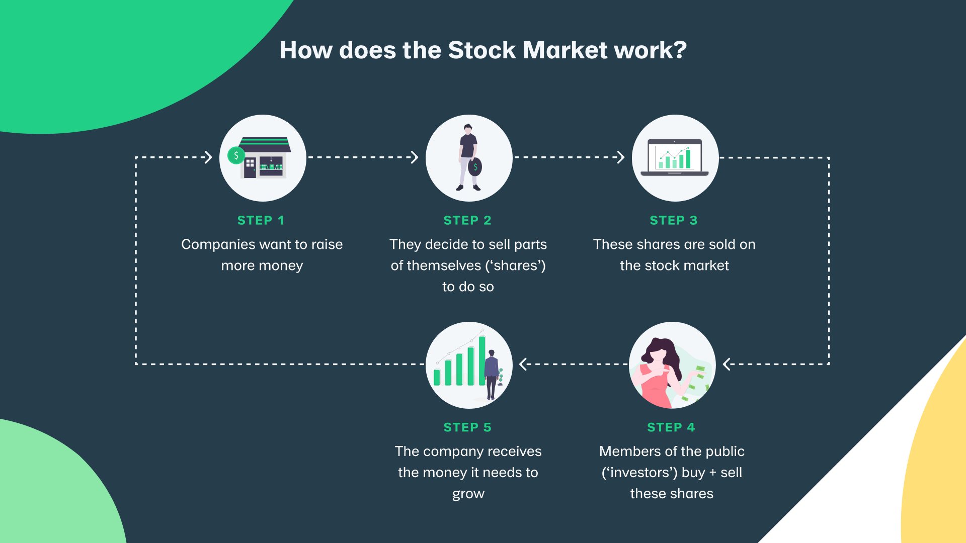 What does a stock actually do?