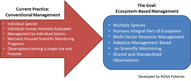 What does an ecosystem approach to fisheries management include?