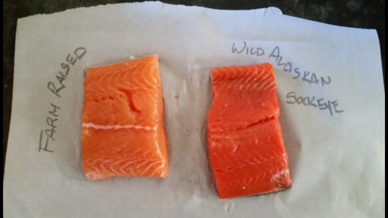 What does bad cooked salmon taste like?