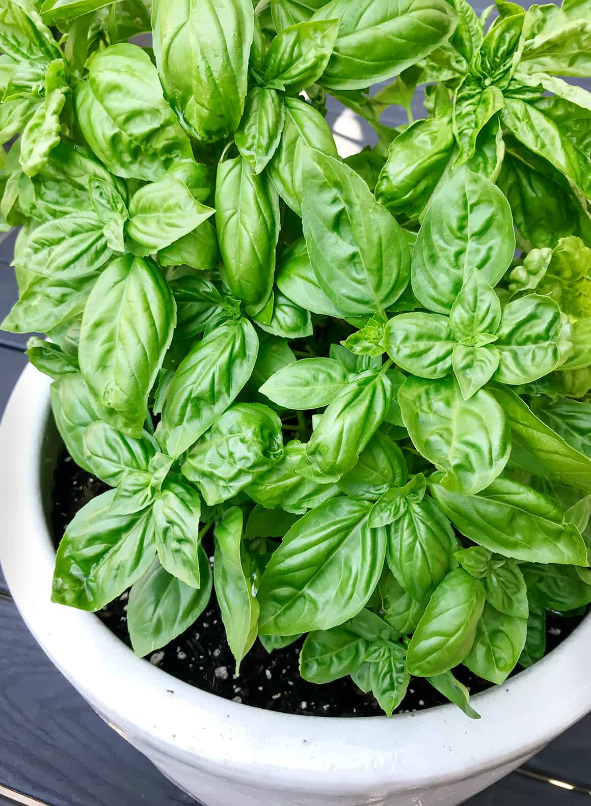 What does basil go good on?