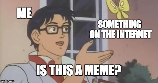 What does being a meme mean?