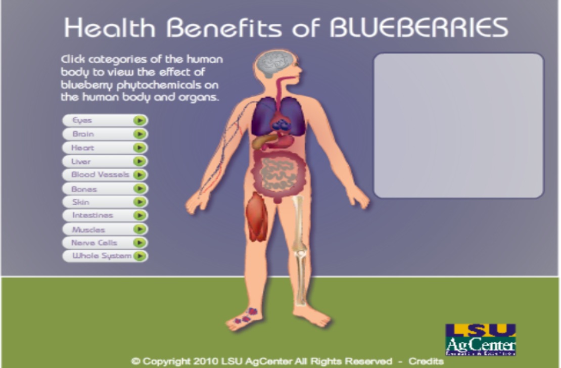 What does blueberries do for the body?