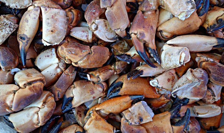 What does brown crab meat mean?