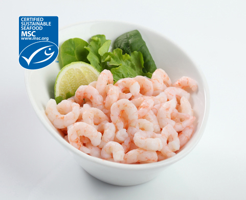 What does Canadian coldwater shrimp taste like?