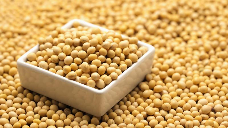 What does China use soybean for?