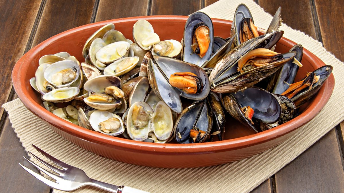What does clams and oyster use to get their food?