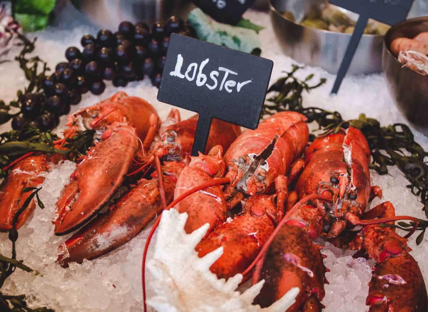 What does cold water lobster taste like?