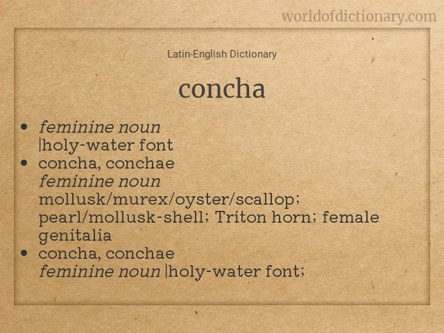 What does Concha mean in English?