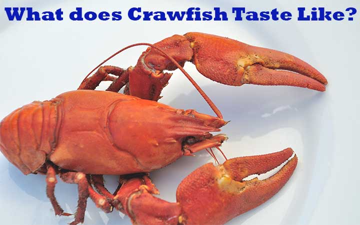 What does crawfish smell like?