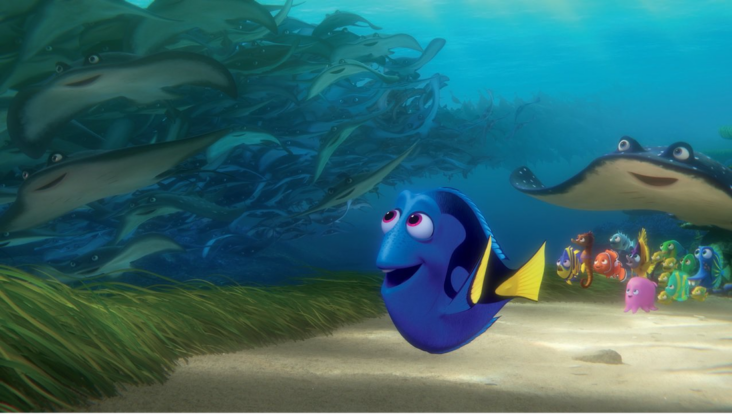 What does dory translate to in Latin?