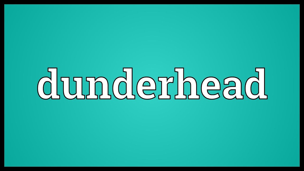 What does dunderhead mean?