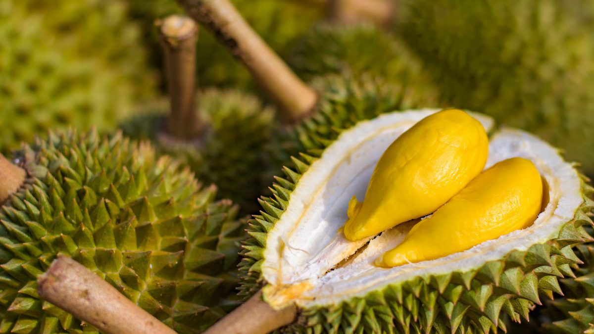 What does durian taste like?