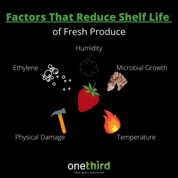 What does extend the shelf life mean?