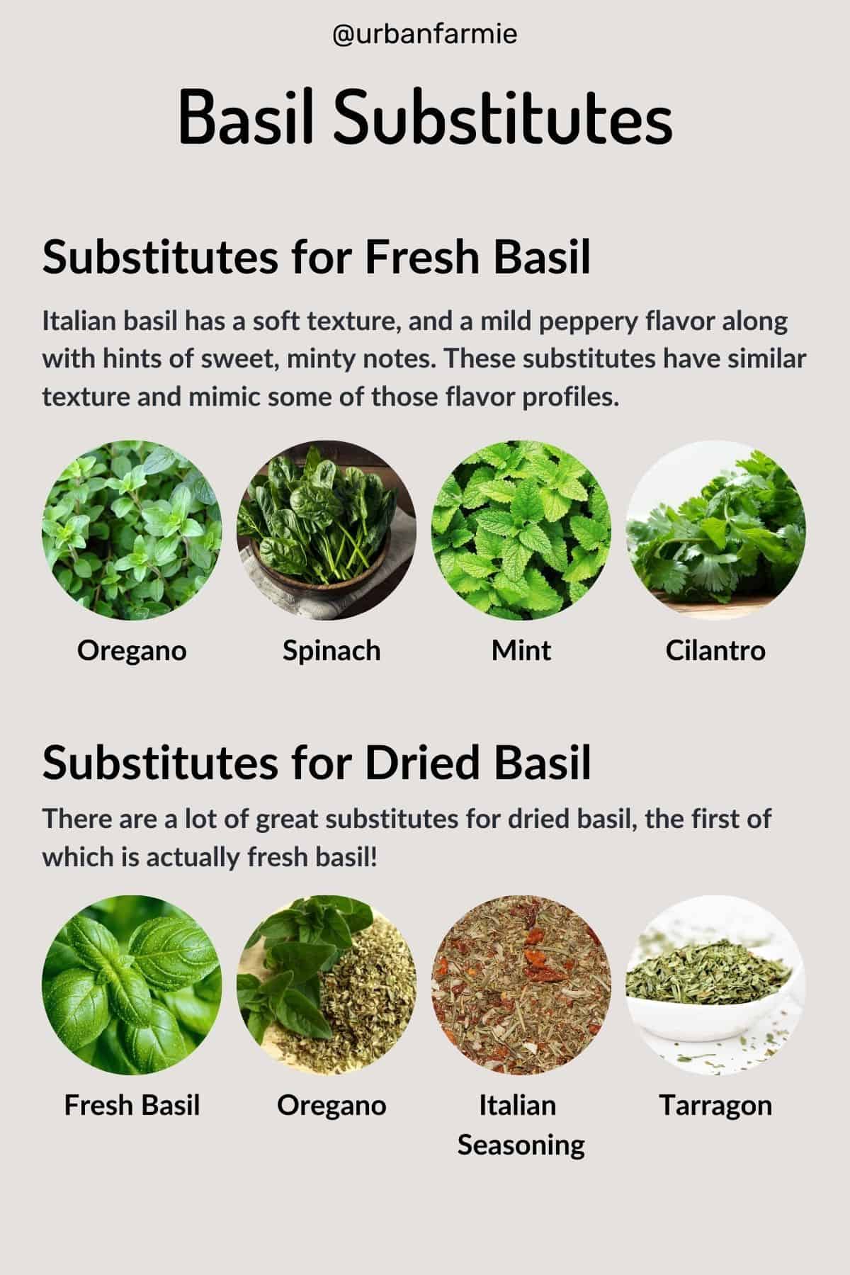 What does fresh basil taste good in?