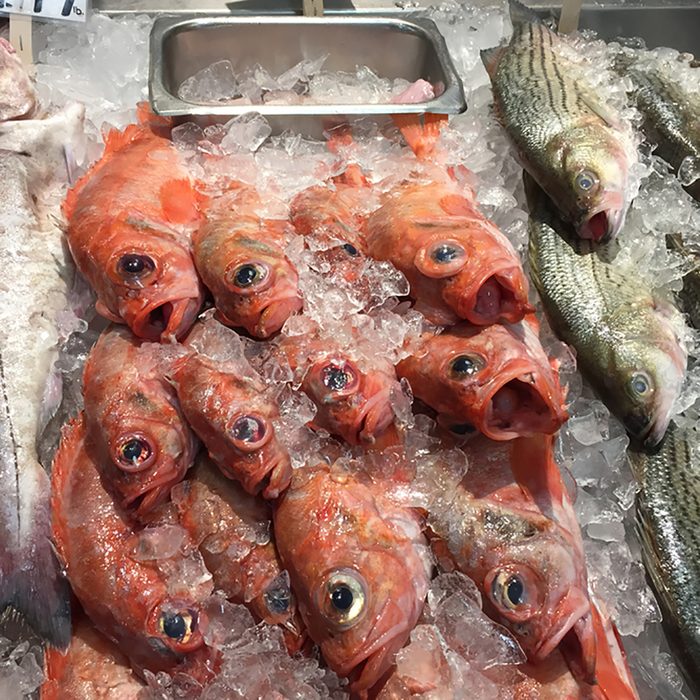 What does fresh fish taste like?
