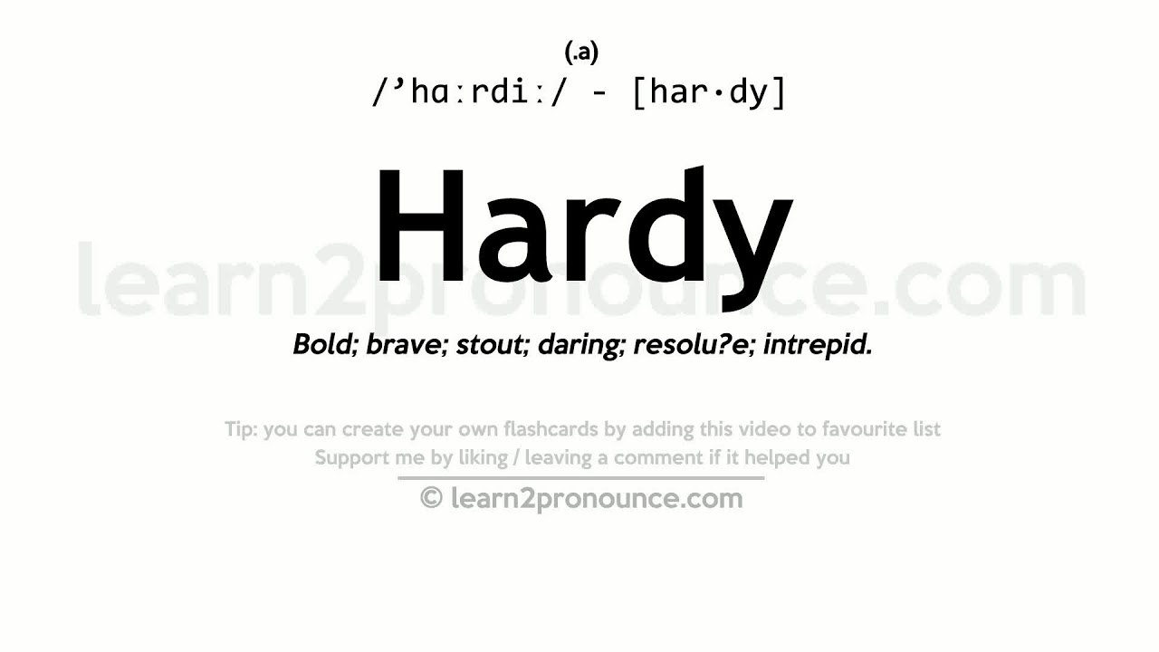What does Hardy mean in slang?