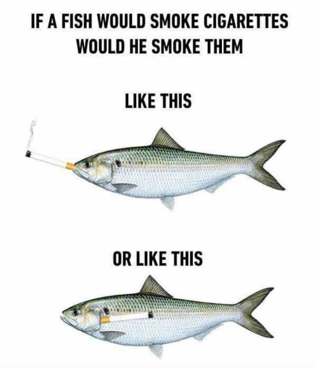 What does is mean if a fish is smoked?