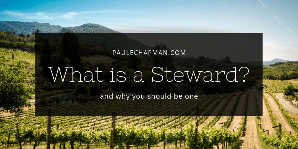 What does it mean to be a steward in your home?