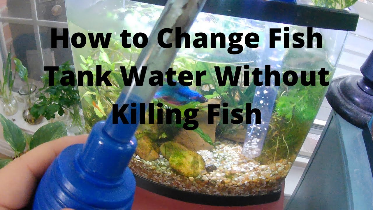 What does it mean to change aquarium water?