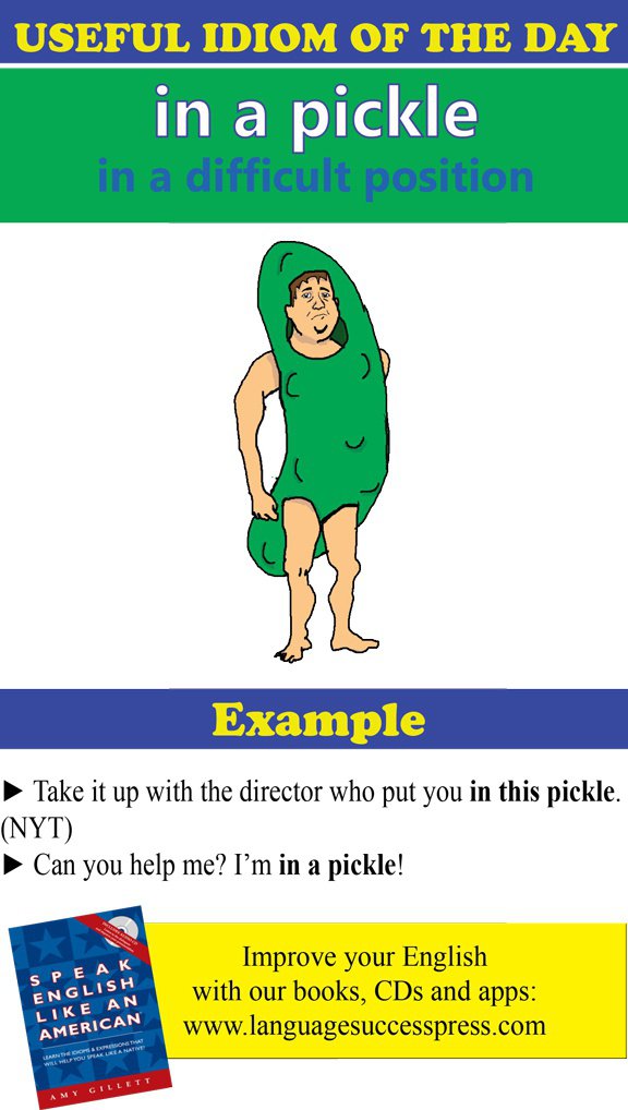 What does it mean to put someone in a pickle?