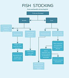 What does it mean to stock a fish?
