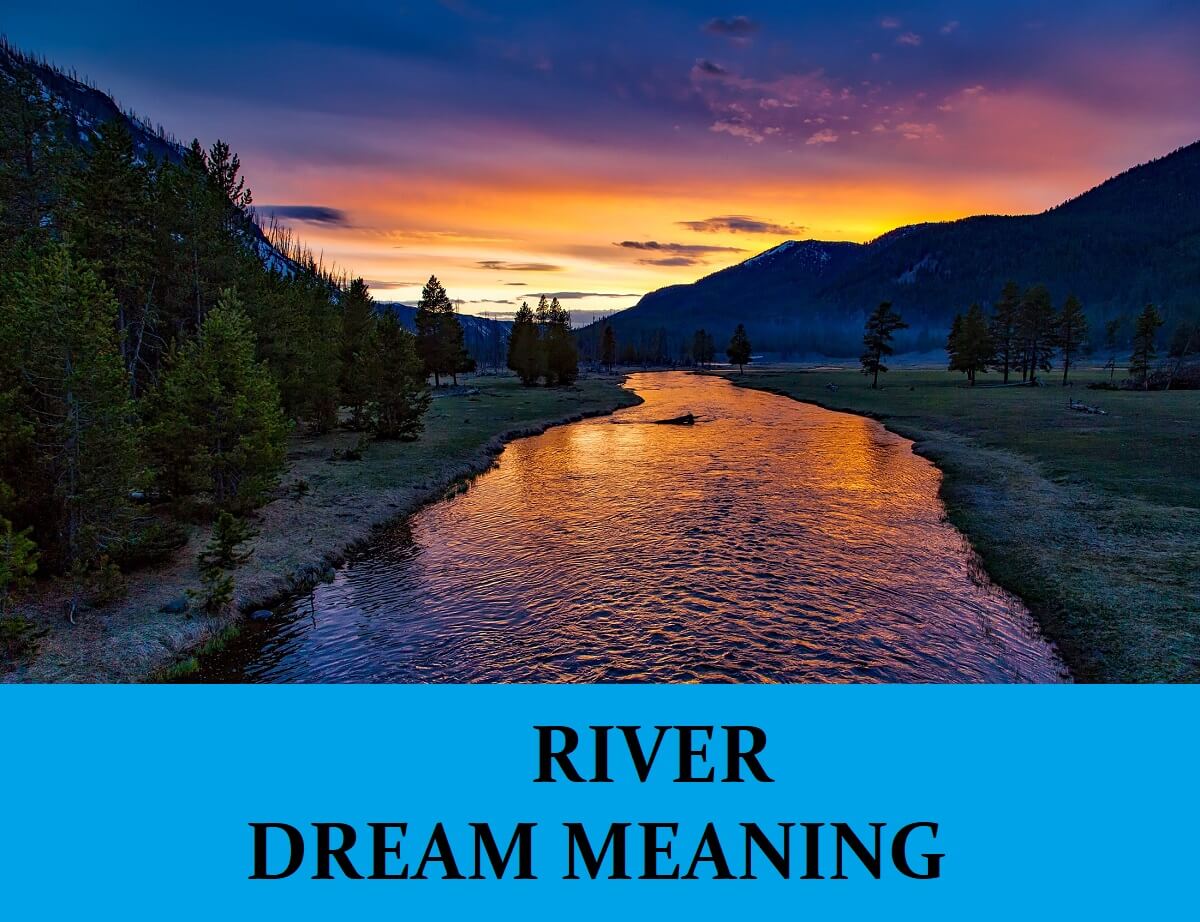 What does it mean when you dream in a river?