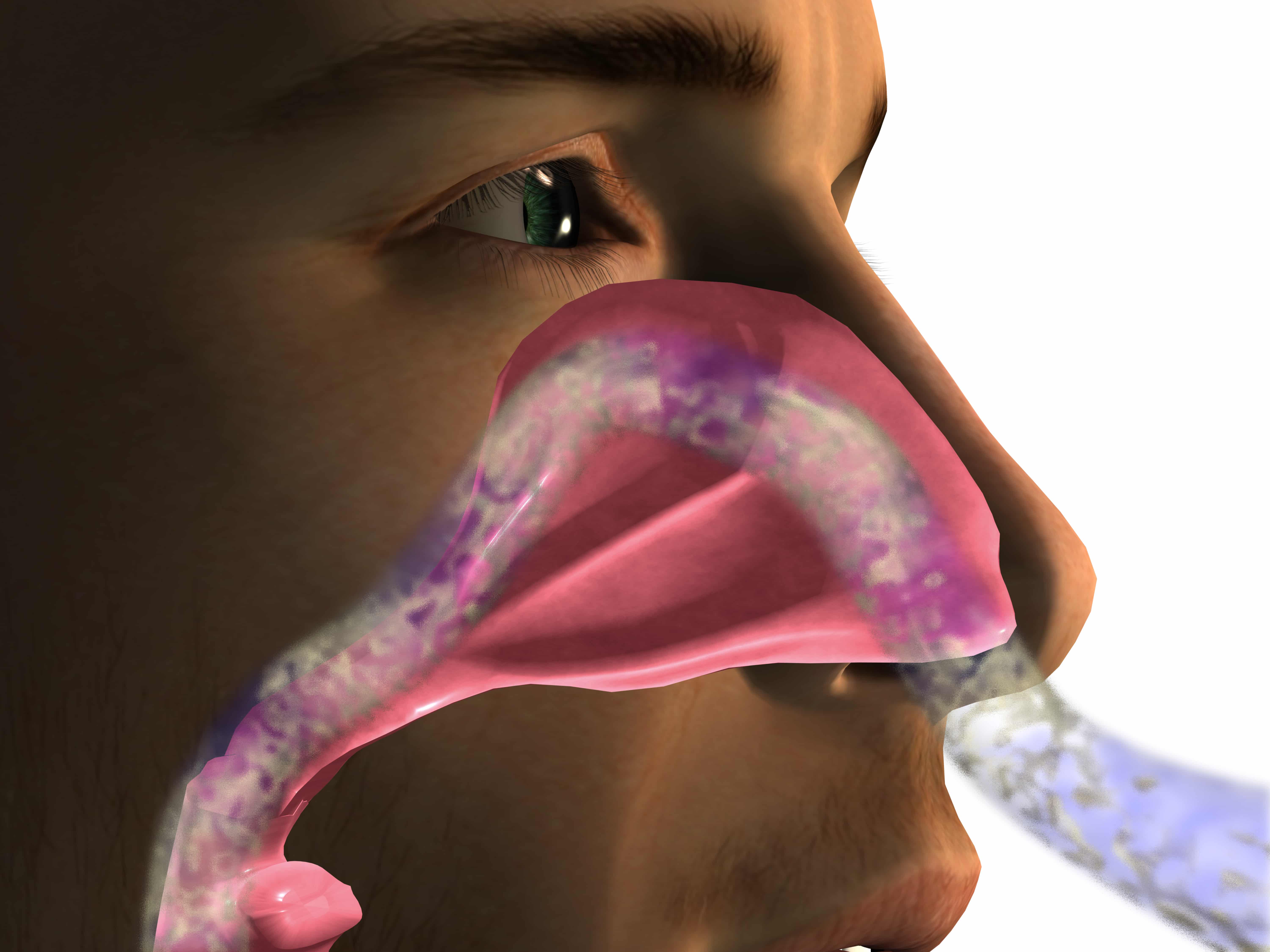 What does it mean when you smell sulfur in your nose?