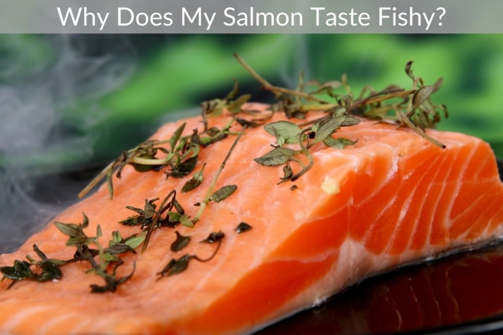 What does it mean when your salmon tastes fishy?