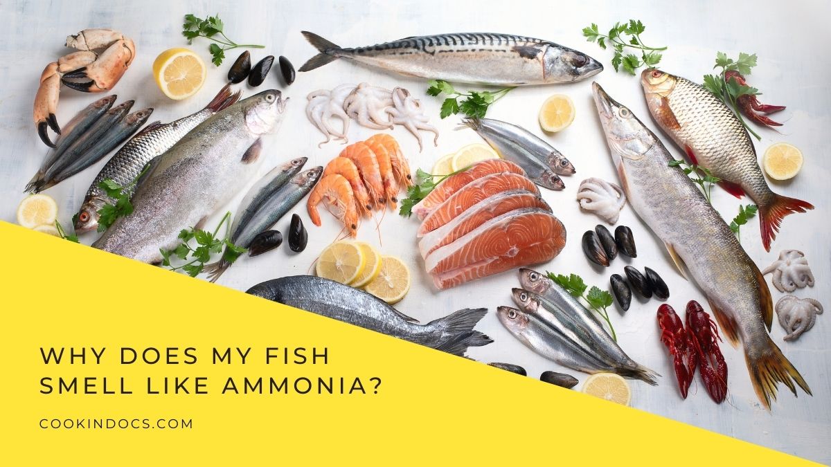 What does it mean when your seafood smells like ammonia?