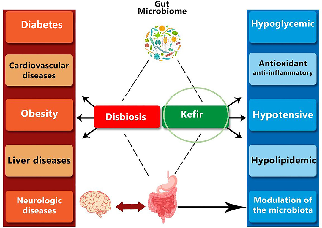 What does kefir do to your stomach?