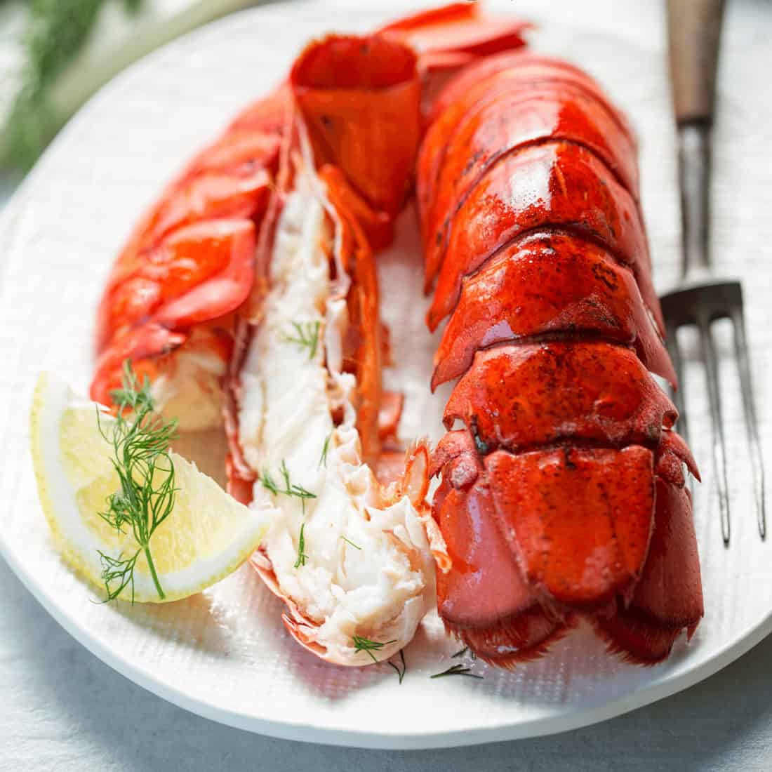 What does lobster legs taste like?