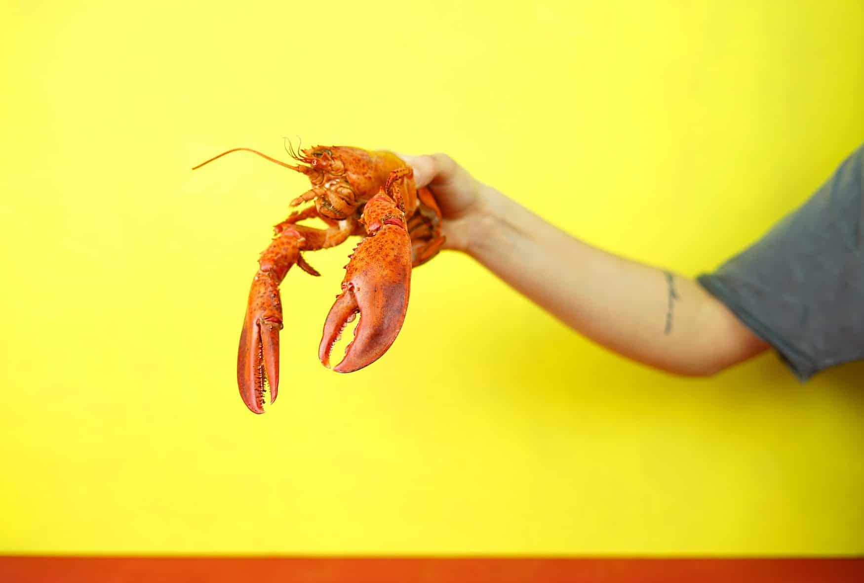 What does mushy lobster meat mean?
