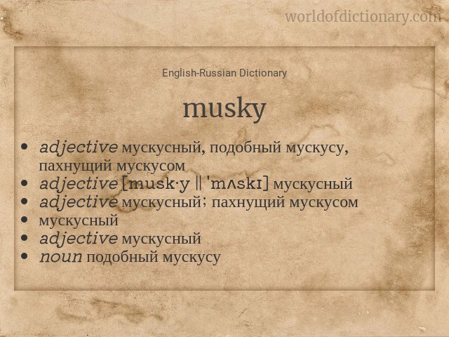 What does musky mean?