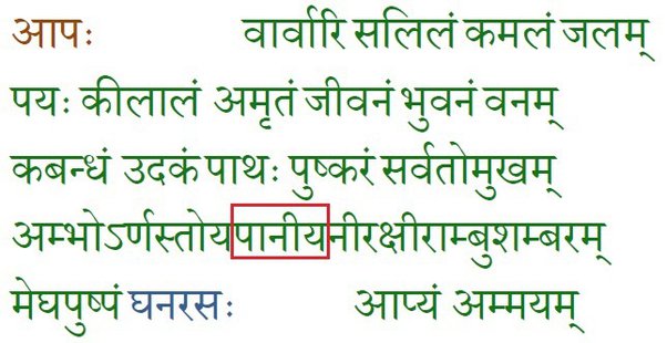 What does Pani mean in Sanskrit?