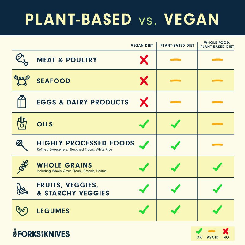 What does “plant-based” mean?