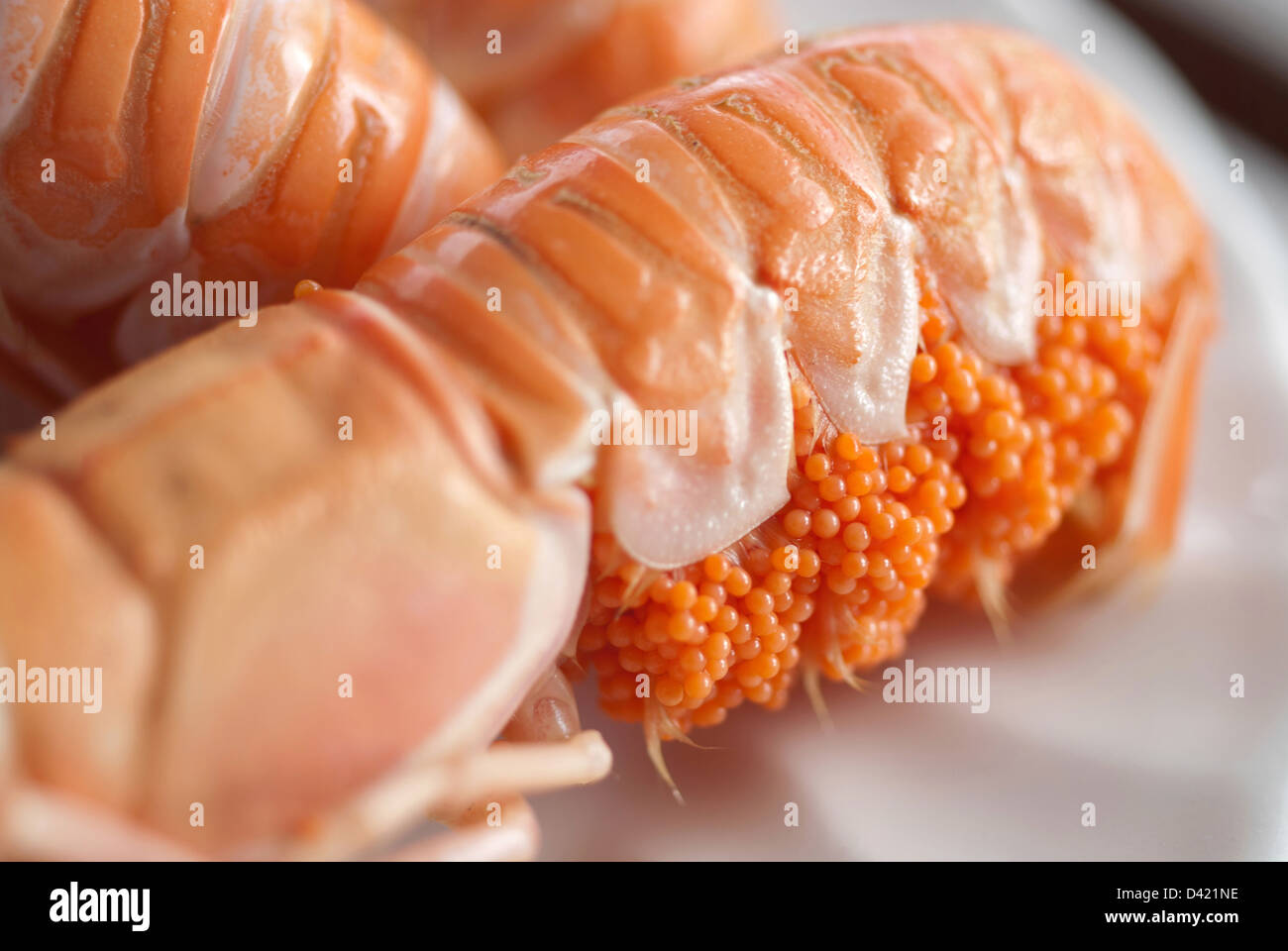 What does prawn roe look like?