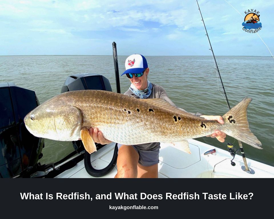 What does redfish taste like?