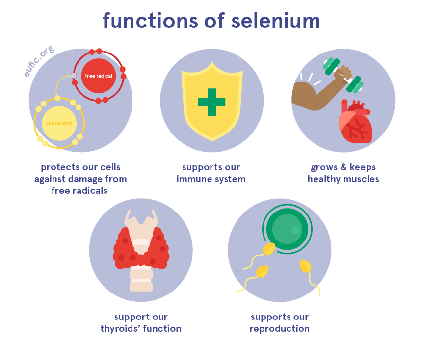 What does selenium do for the body?