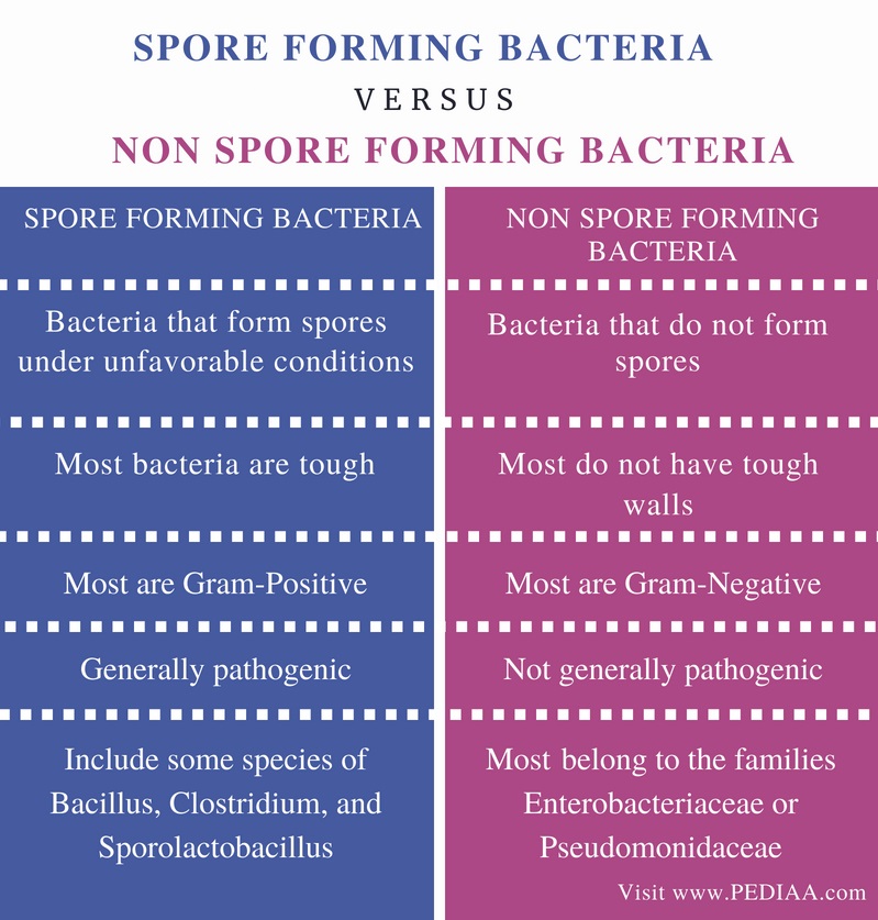 What does spore-forming bacteria mean?