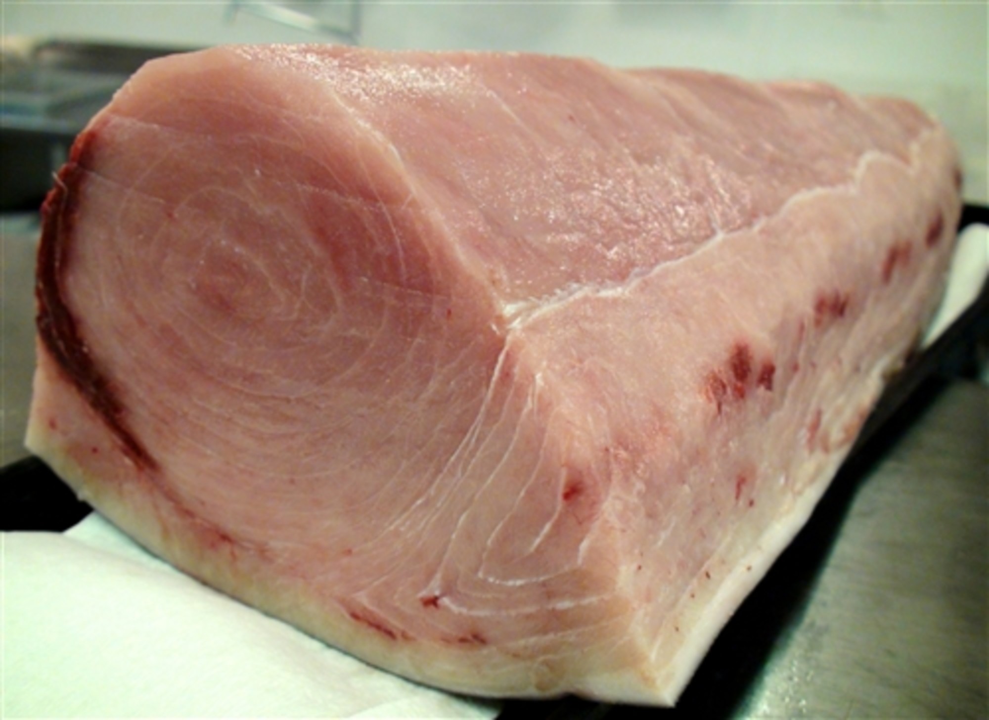 What does swordfish meat look like?